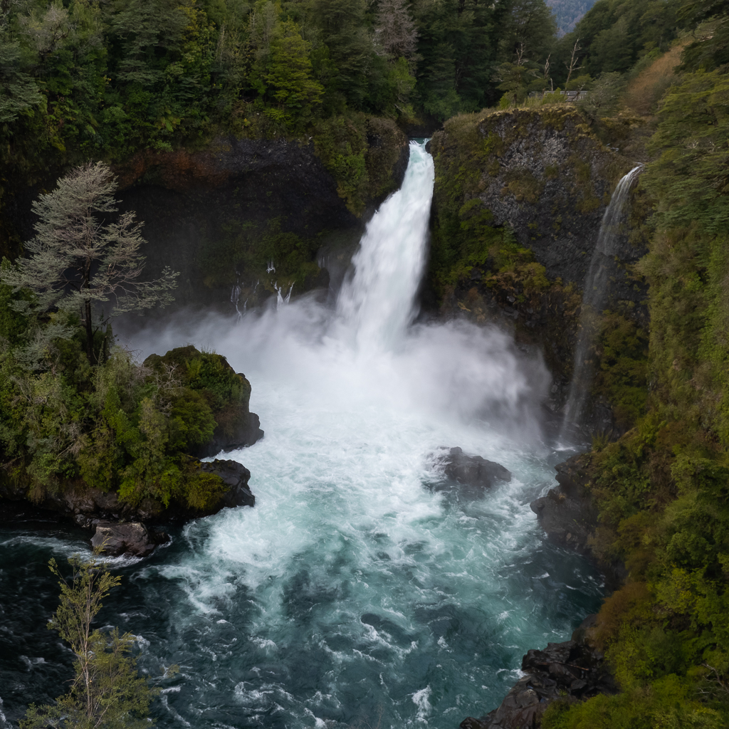 Patagonia and Altiplano Expedition | #7 – Huilo Huilo – Wild Places