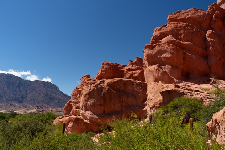 Patagonia and Altiplano Expedition | #43 – Surroundings of Cafayate ...